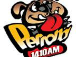 Perrona siempre viva! Entrevista a Arturo Cortés, ahora la dirige.